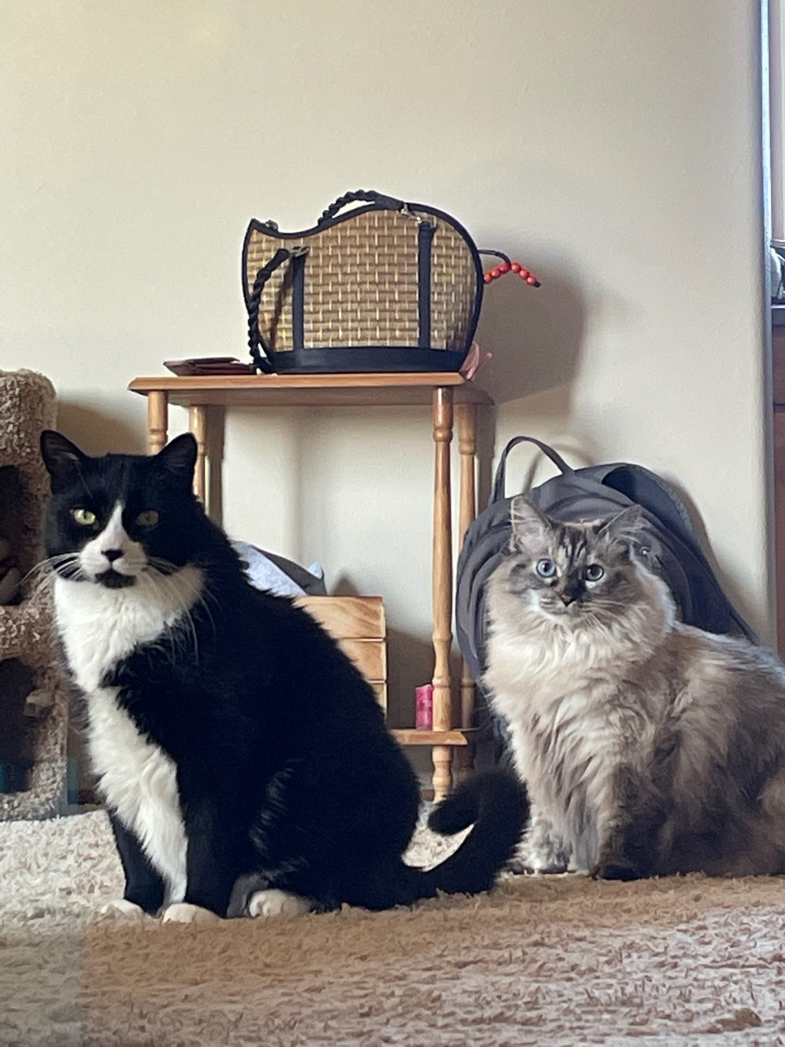 Pic – midnightdemons7